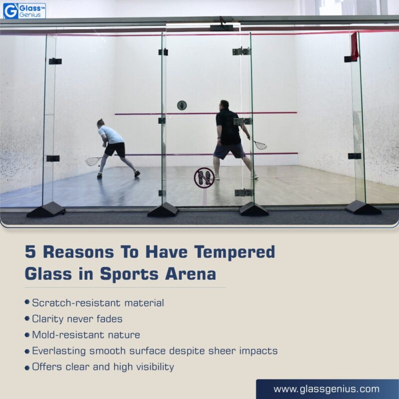 A Guide to Tempered Glass Wall Panels in Sports Arena | Glass Genius