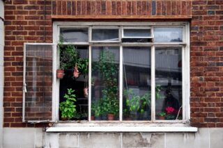 Transom Windows - The Ultimate Guide | Glass Genius