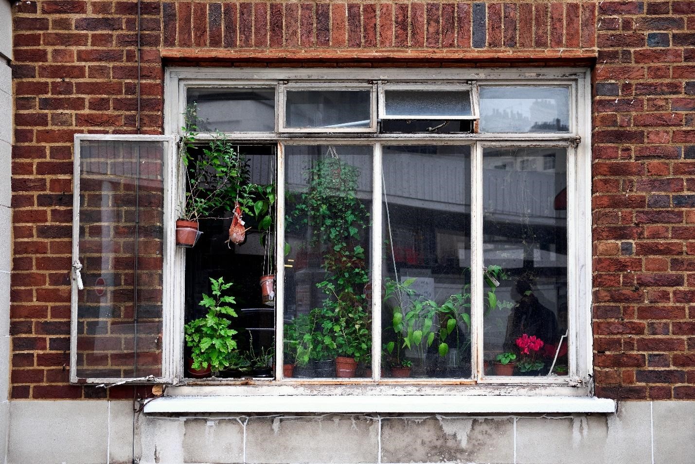 Transom Windows - The Ultimate Guide | Glass Genius