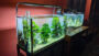 How to Build an Acrylic Aquarium?