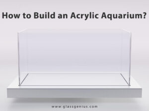 How to Make an Acrylic Box? Step By Step Guide!