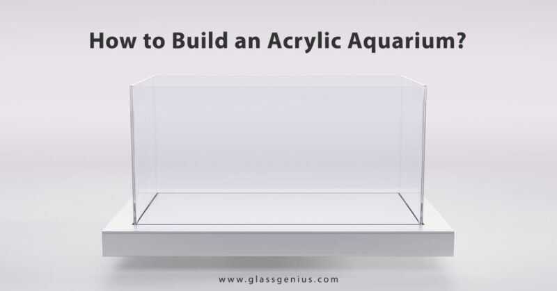 How to Build an Acrylic Aquarium?