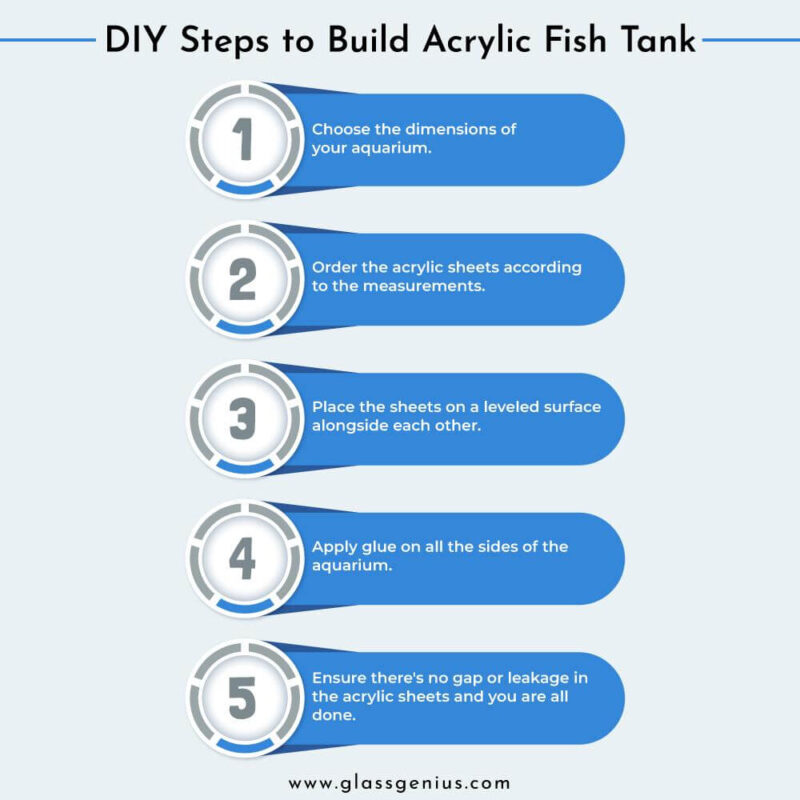 How to Build an Acrylic Aquarium? – Glass Genius