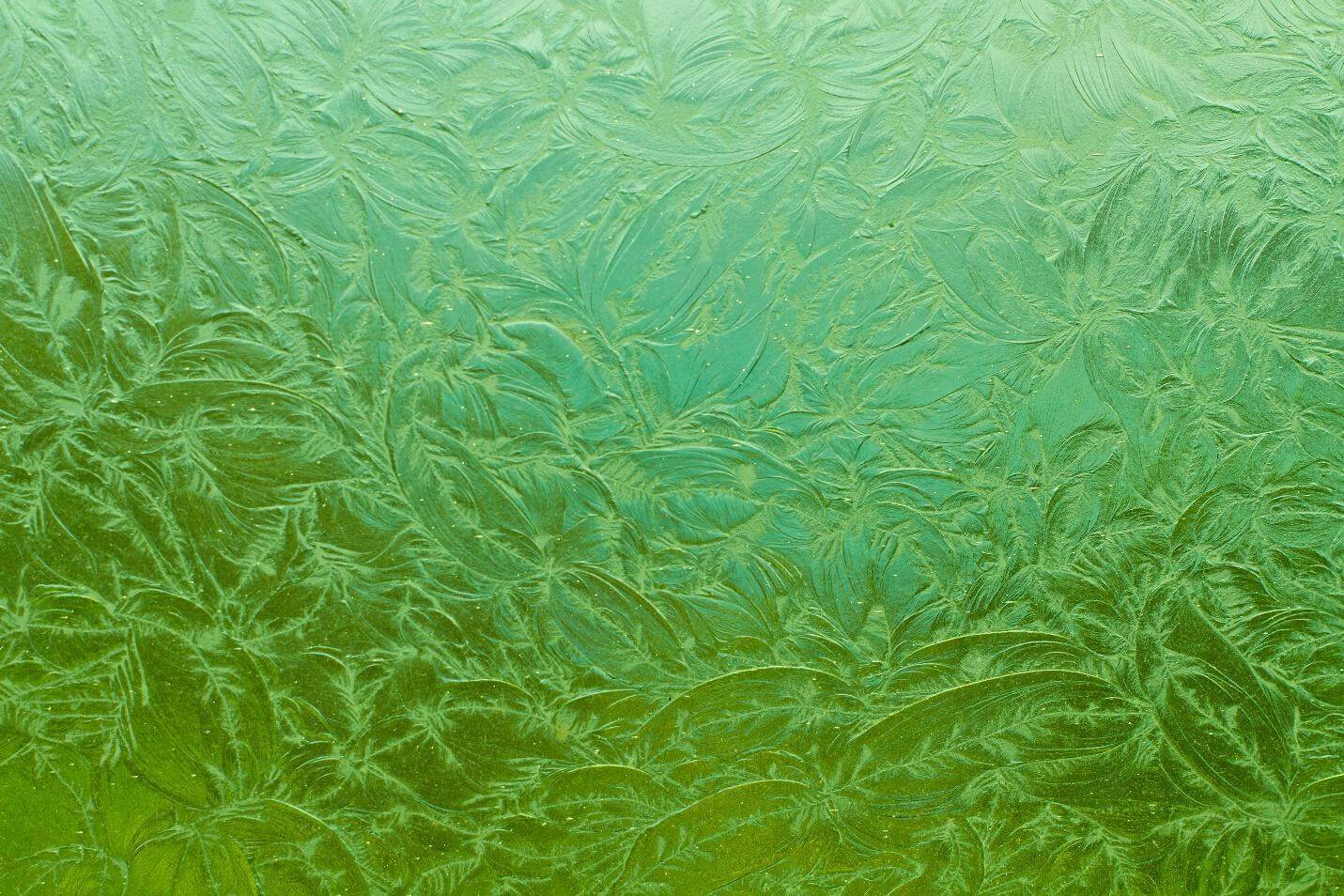 Types of Obscure Glass for Bathroom Windows